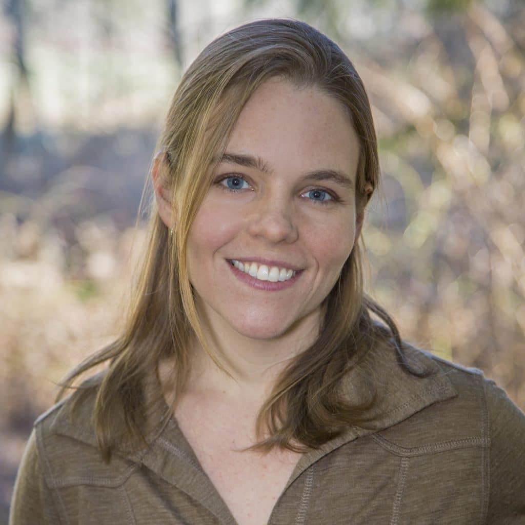 12 crime writers pick their summer reads