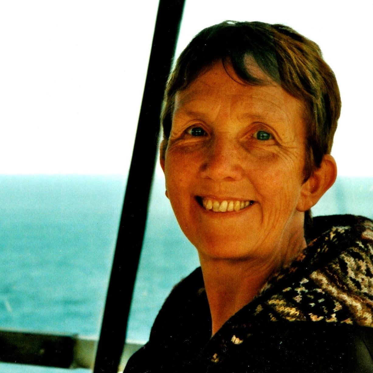 Ann Cleeves: career highlights