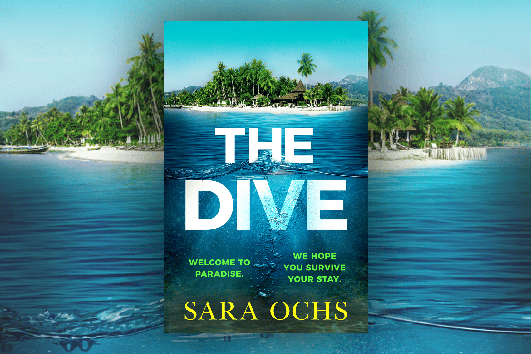 Extract: The Dive by Sara Ochs